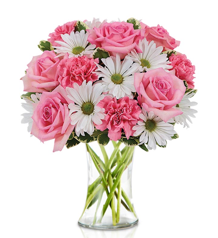Pink Roses & White Daisy Pom Arrangement | Florists.com